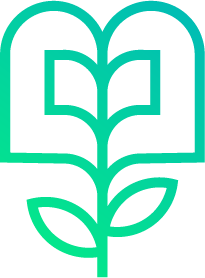 Residue dissipation and risk assessment of conventional and ...